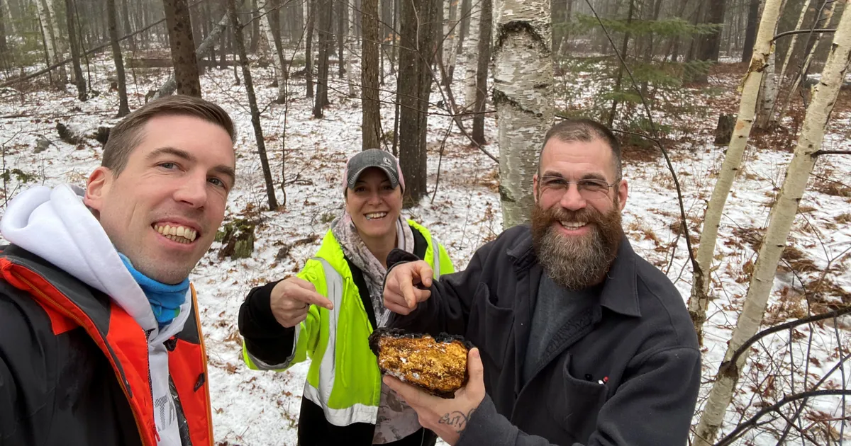 Eesti roheidu rajas USA-sse esimesed chaga istandused