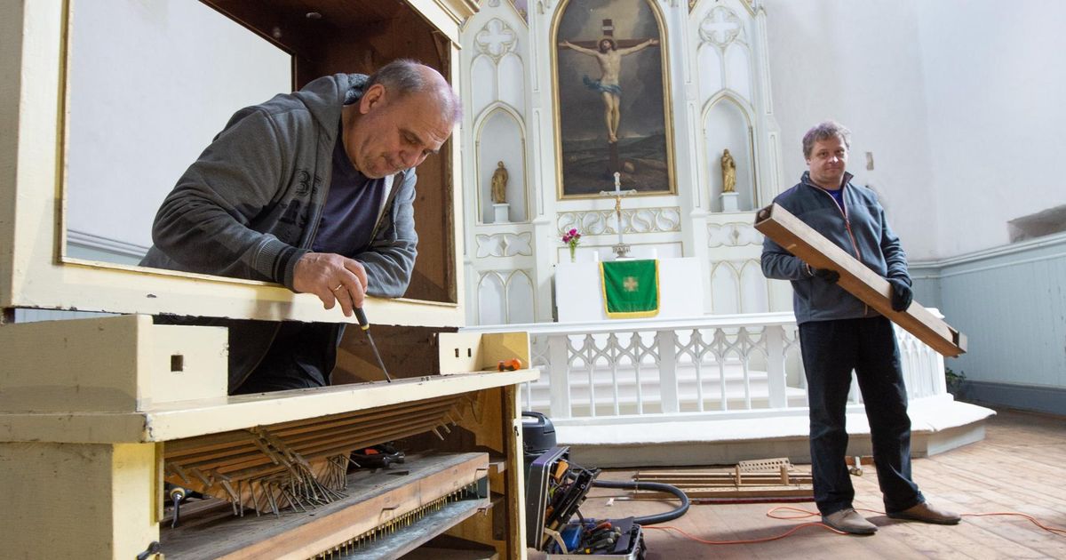 Koduorel pandi kokku talgute korras