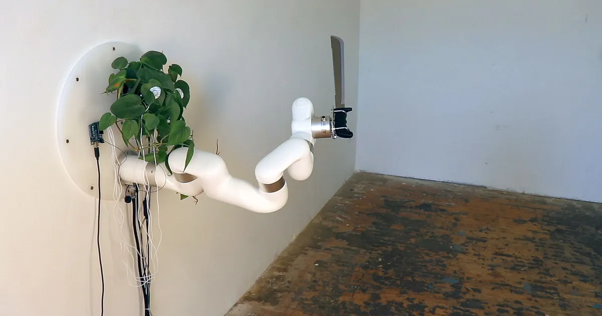 VIDEO Mida taimed meile öelda tahavad? Kunstnik pani toalille matšeetet ...