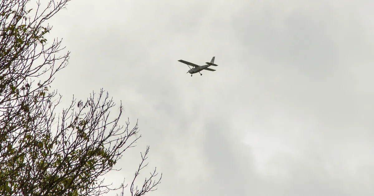 Marutaudi osas tasub endiselt ettevaatlik olla