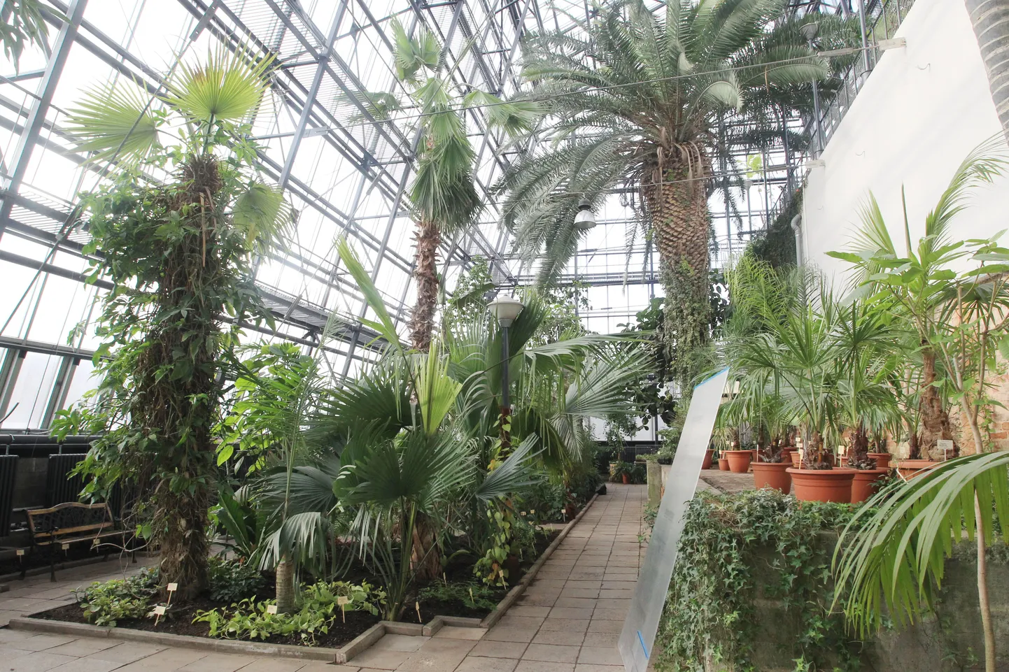 MAIT RUNGI Loomaaed ja botaanikaaed: mida saaksime teha paremini?