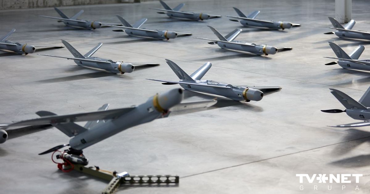 Украина получила первые 20 беспилотников Warmate - их купили за ...