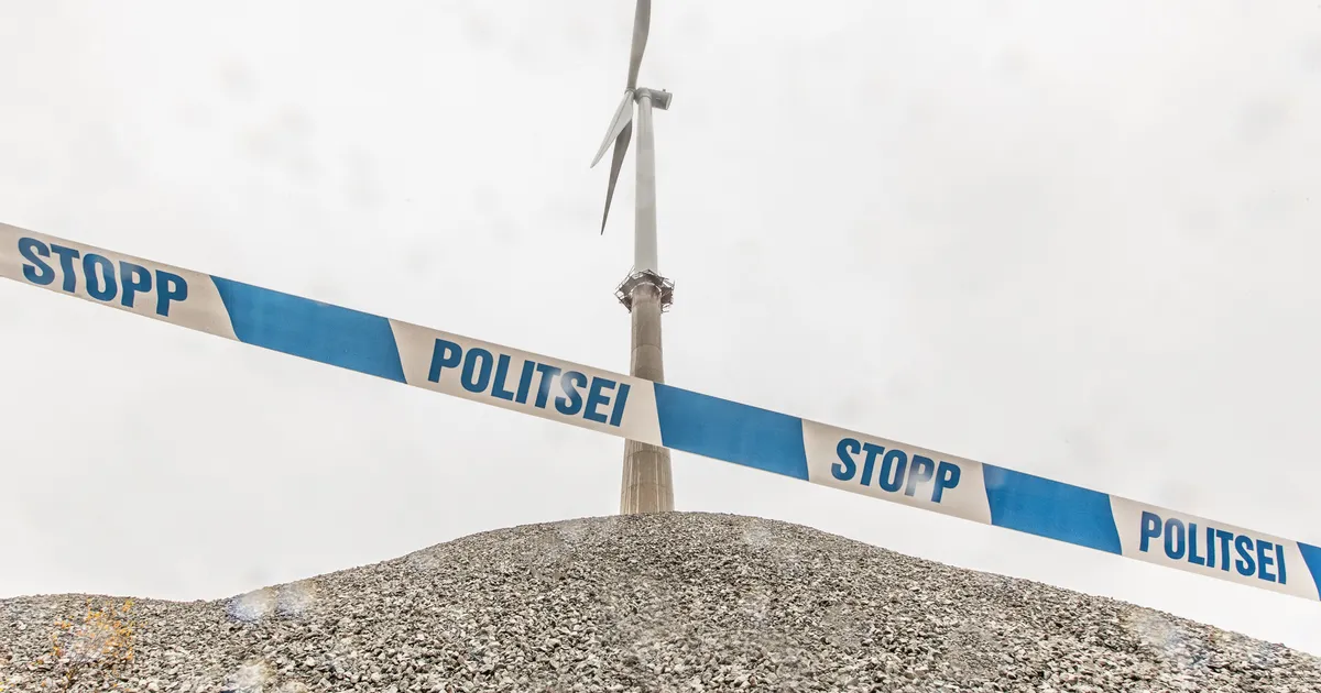 Roim Aidu karjääris: tapja sai nooruse tõttu karistuse leevendust