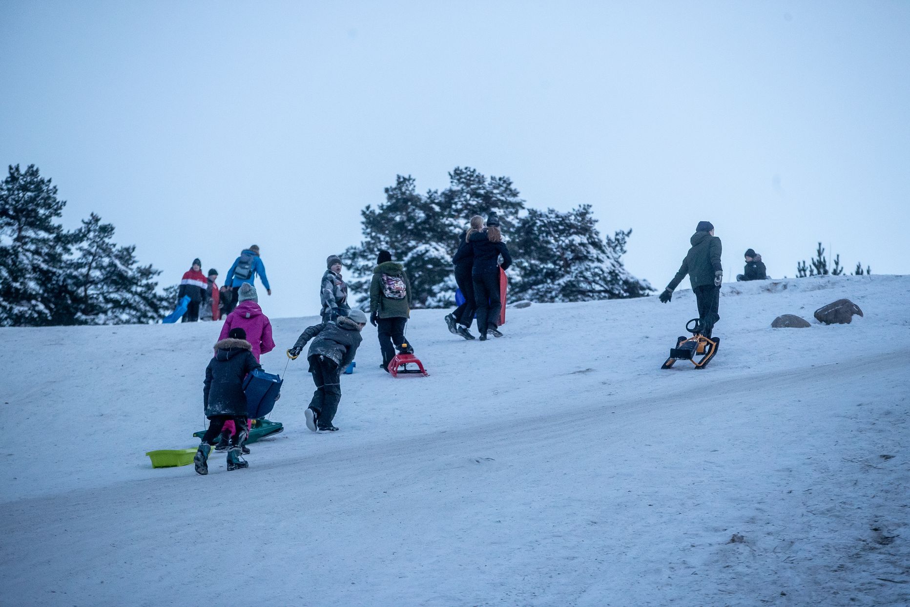 Vanaka mäel vastu puud sõitnud kelgutaja vajas kiirabi