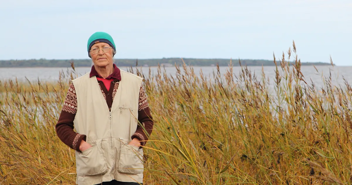 Muhu põhjarannikul lõppeb piimavedu