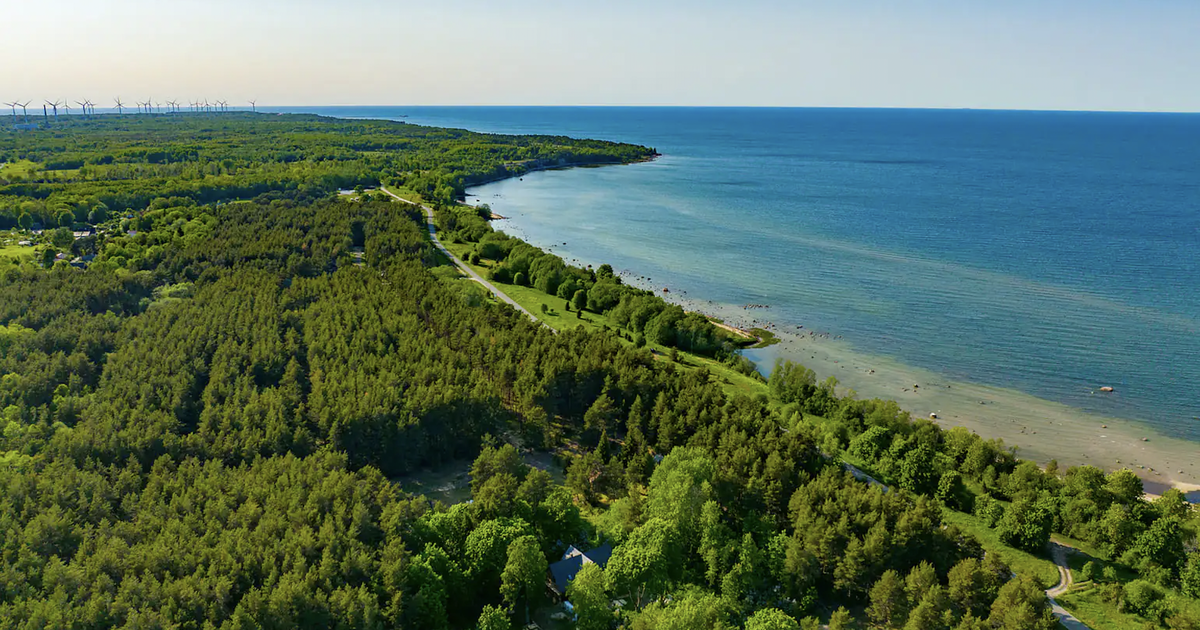VAATA PILTE: Linna lähedal, metsa sees ja mere ääres – just Laheperel ...