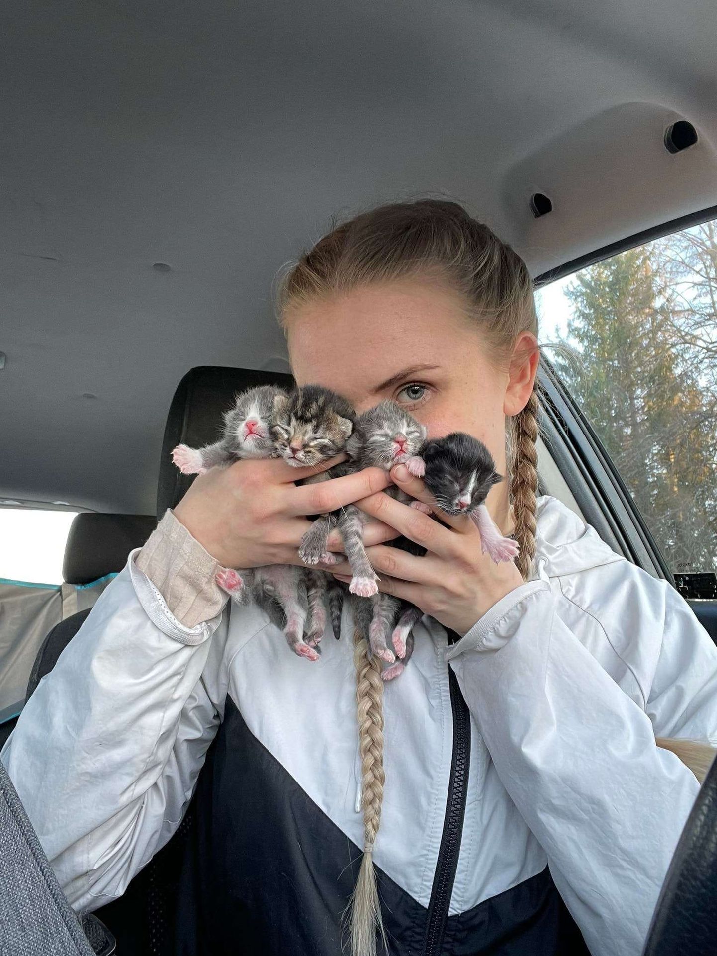 PÄEVAKÄPAD Põlvamaal uputamisest päästetud kassipojad on valmis koju minema