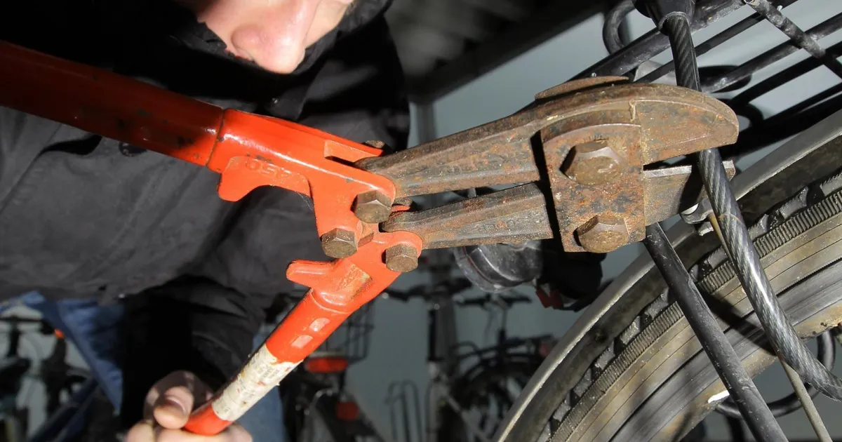 RATTAD, MOBIILTELEFONID, TOIT Järvamaalt tabatud sarivaras jahtis kõike