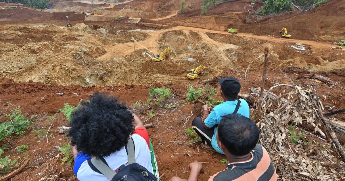 VIHANE VASTASSEIS Indoneesia farmerid tõrjuvad niklikaevurite ...