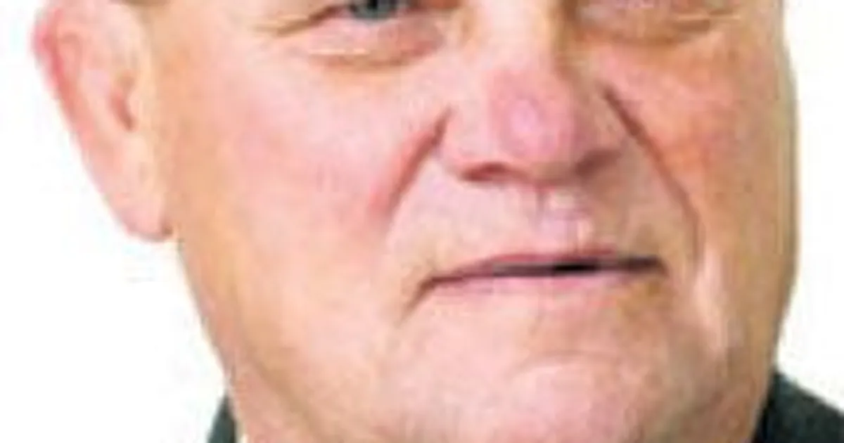 Ants Kask: elektrist on saanud Eesti rahva peavalu