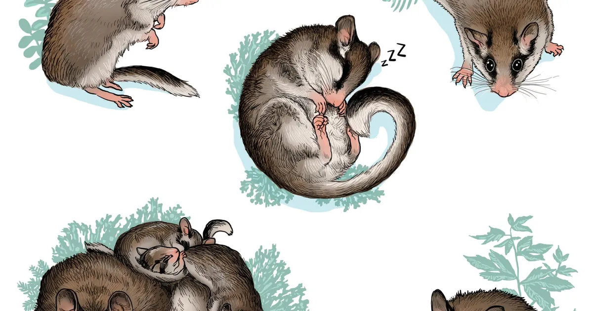 pähklinäpp - Postimees: Värsked uudised Eestist ja välismaalt