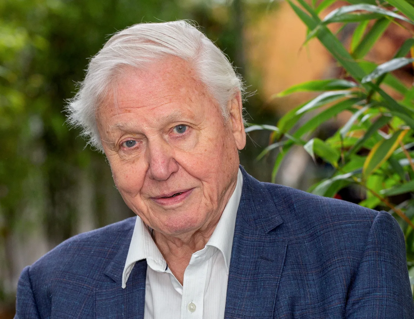 Sir David Attenborough: ärge niitke muru enne juuli keskpaika