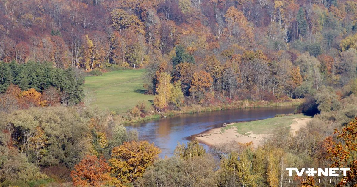 Zelta rudens baudītāji veido pamatīgus sastrēgumus Siguldā