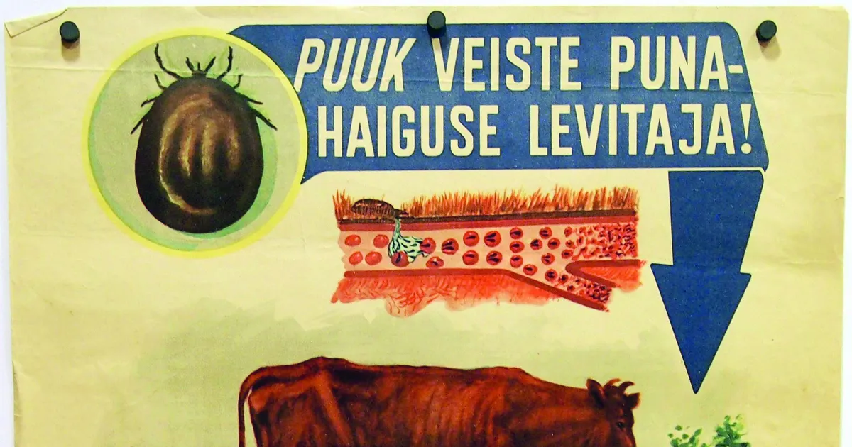 Levinud haigus, mida veel hiljuti ei tuntud