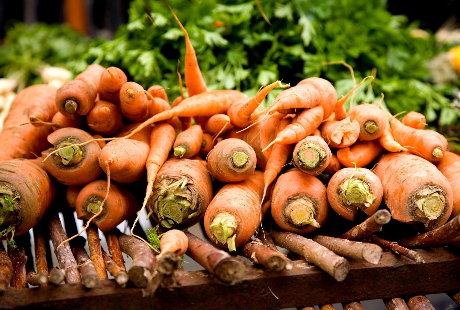 Tarbijakaitseamet: langenud on köögiviljade, tõusnud piimatoodete hind