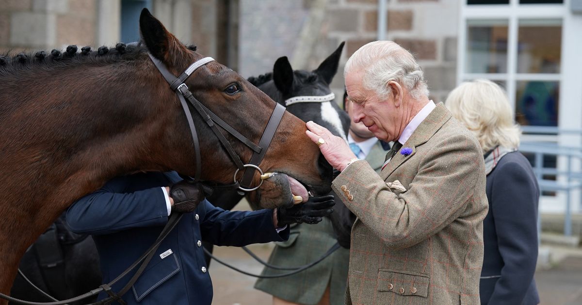 AMETLIK Selgus kuupäev, millal kroonitakse Briti kuningas Charles III
