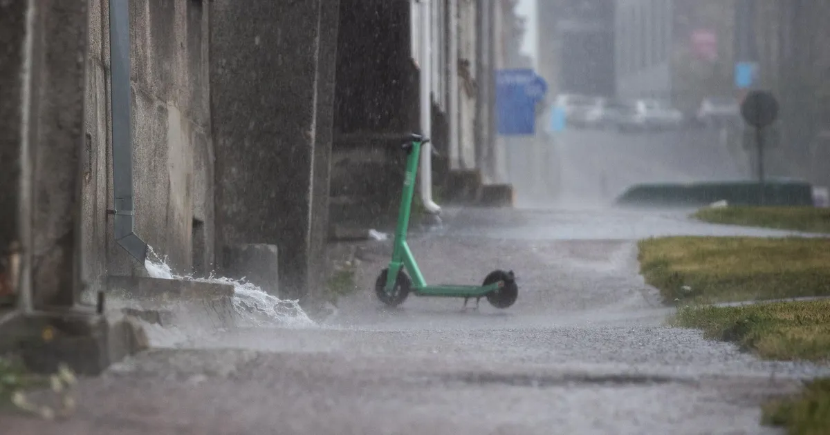 Lähipäevil sajab vihma