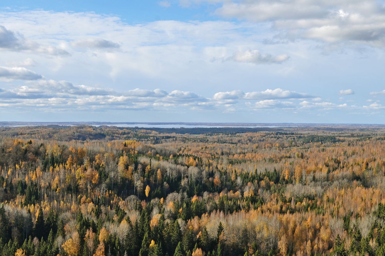 100 dabas brīnumi: #99 Latgales jūra, skatoties no Lielā Liepu kalna