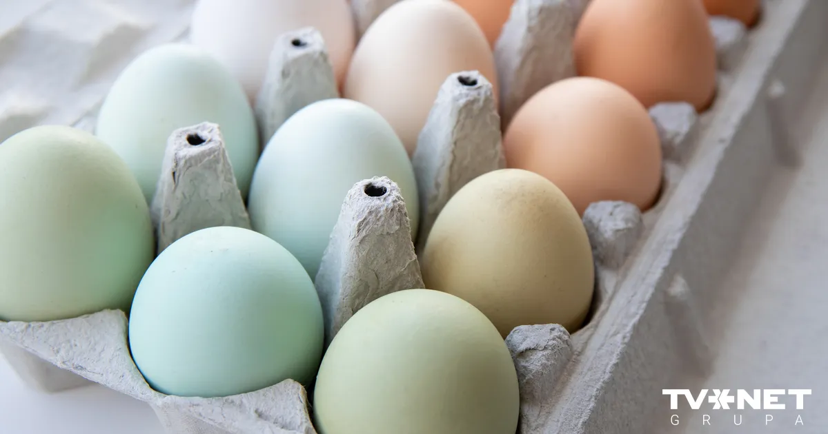 Vai zaļās olas ir stiprākas, veselīgākas un garšīgākas?