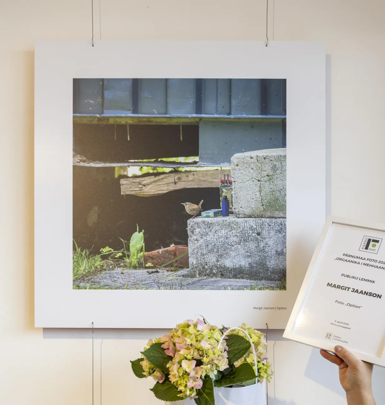GALERII “Pärnumaa foto” aastanäituse võitsid tööd “Siga pole lind” ja ...