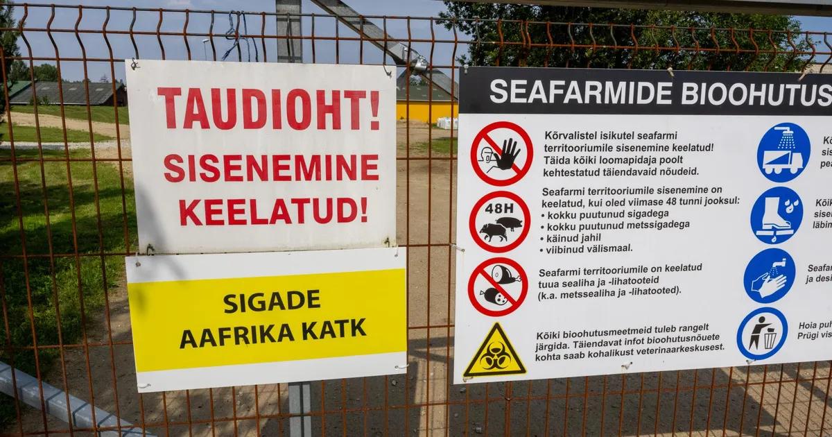 Nurme farmi sigade hukkamine võib esmase prognoosi järgi alata neljapäeval