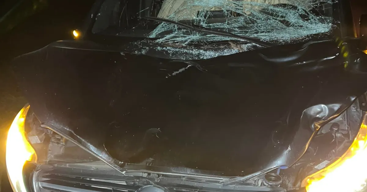 FOTO Tsirkuseärimees Lauri Viikna öisest kokkupõrkest põdraga: politsei ...