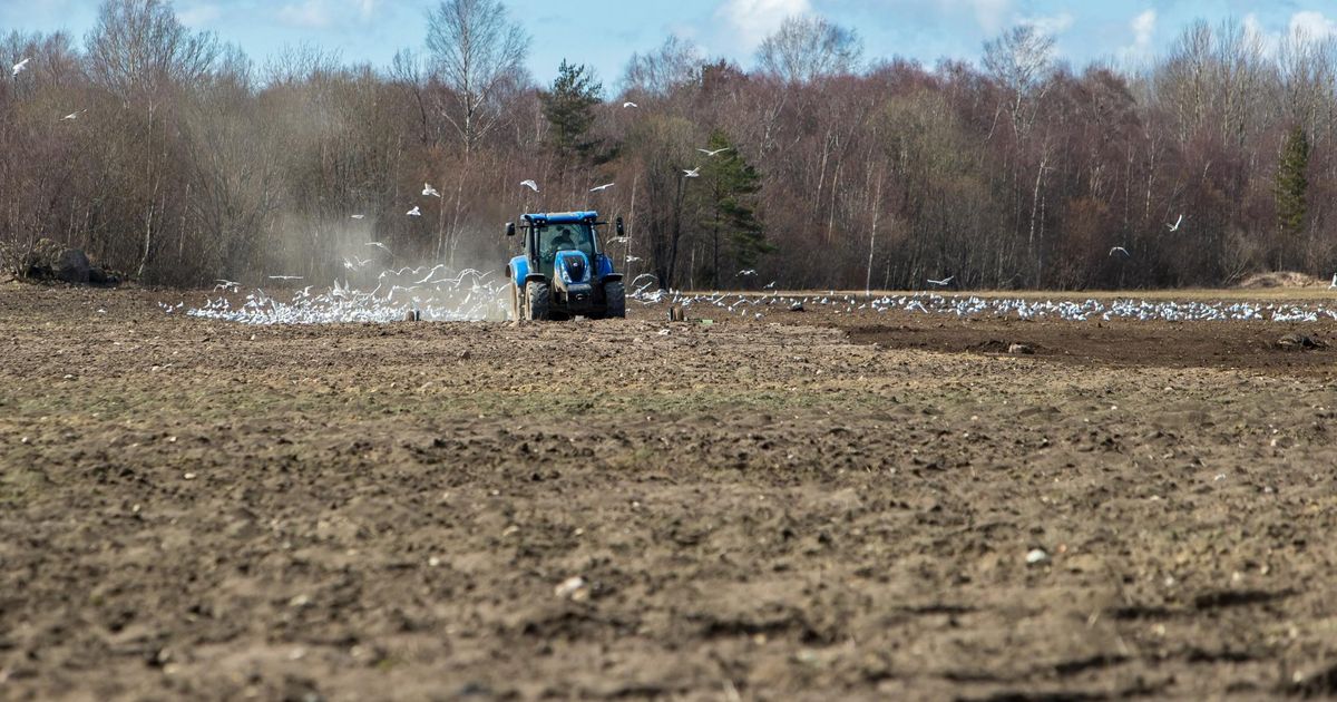 Maamaksu suur tõus lükkub aasta võrra edasi Maamaksu suur tõus lükkub aasta võrra edasi