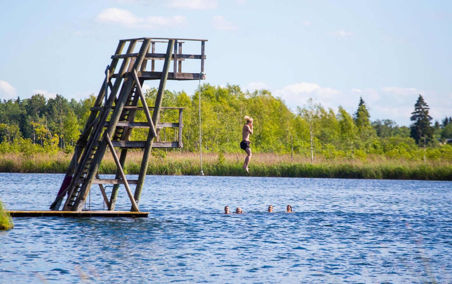 Porkuni supelranna kõrkjad jäävad nahkhiirtele alles