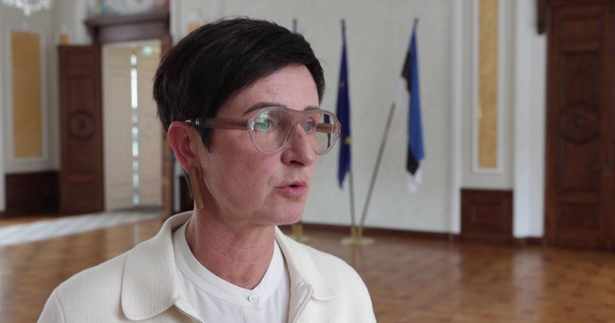 VIDEO Signe Riisalo: 40 miljonit üldhooldusele on väga suur raha