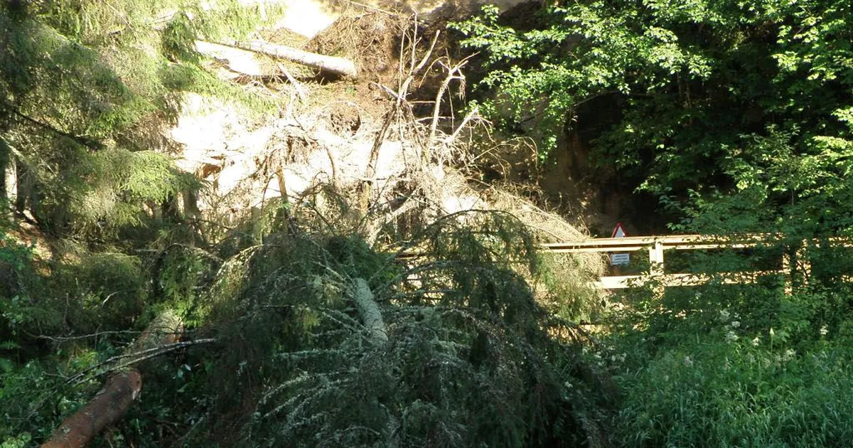 Maalihe mattis Taevaskojas iidse Emalätte