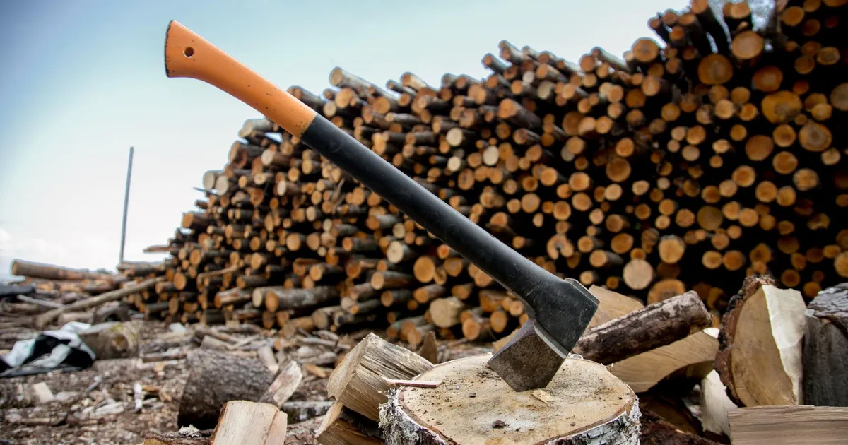 Stealing everything and everywhere: take care of your firewood