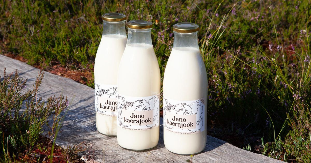 Jane Kaerajook soovib Fundwise'i platvormil kaasata vähemalt 80 000 eurot