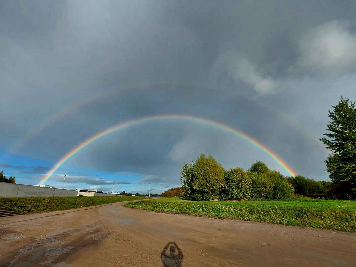 PÄEVAHOROSKOOP 29. aprill: Jäärani jõuab oluline info, Kaljukitse jaoks ...