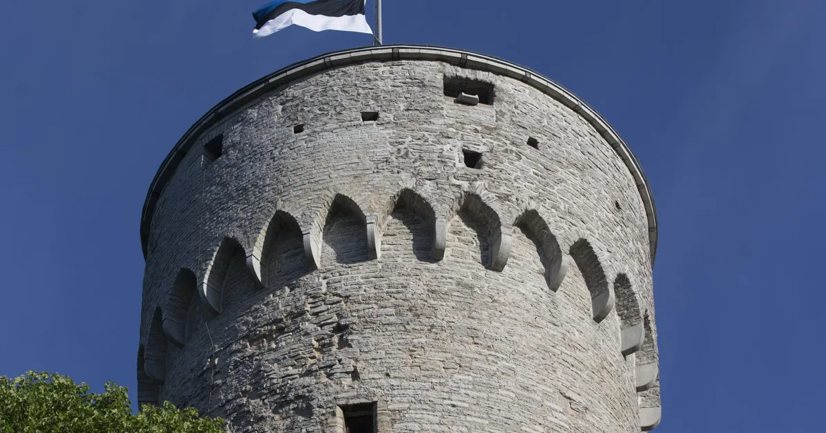 REIN SERMAT Eesti okupatsiooni eitamine tuleks kriminaliseerida