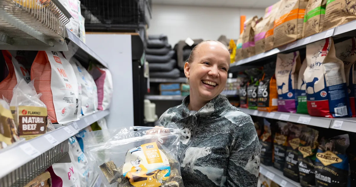 LEMMIKLOOM Kass pole enam vaid hiirepüüdja ja koer majavalvur, nad on ...