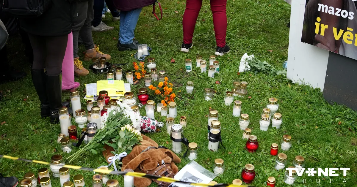 Общество ветеринарных врачей осуждает убийство собак, принадлежавших ...