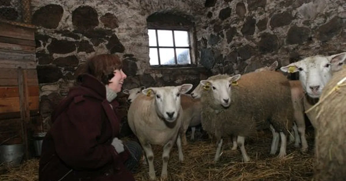 Lambad on ühed armsad loomad, kes hoiavad Eestimaa korras