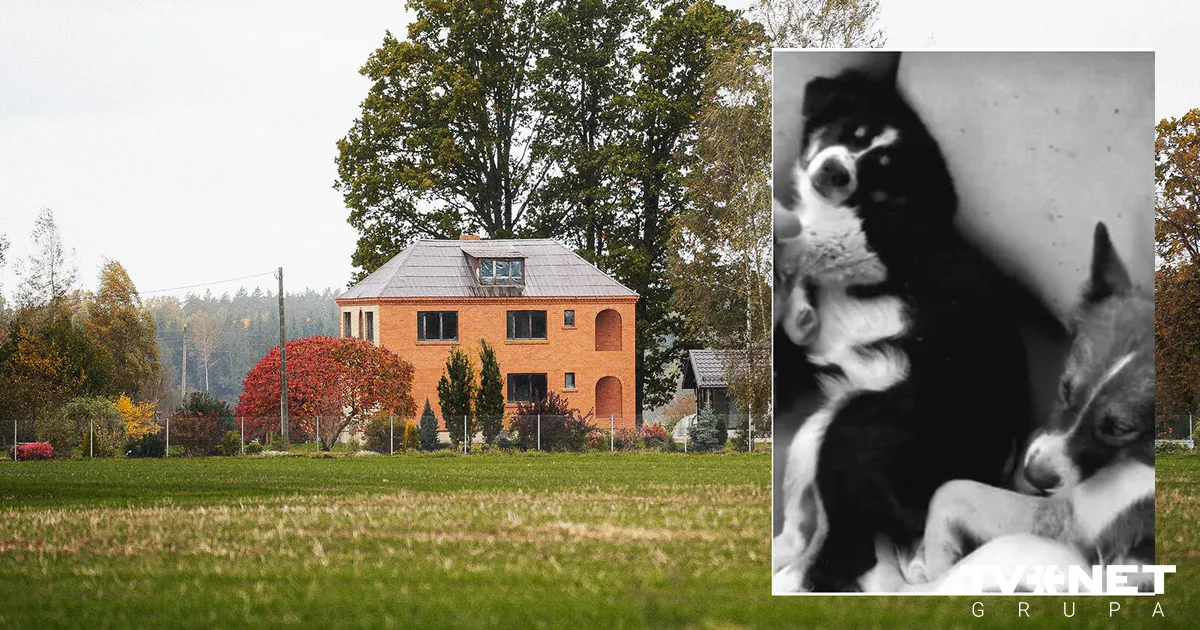 Убийство собак владельца Modra olas: местные жители рассказали, что ...