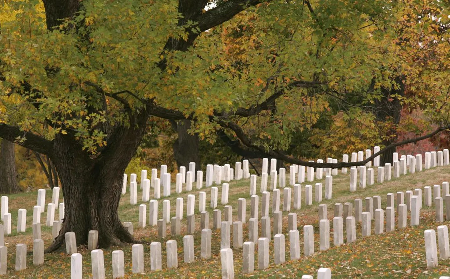 USA eestlastel kulus 50 aastat oma surnuaia tähistamiseks