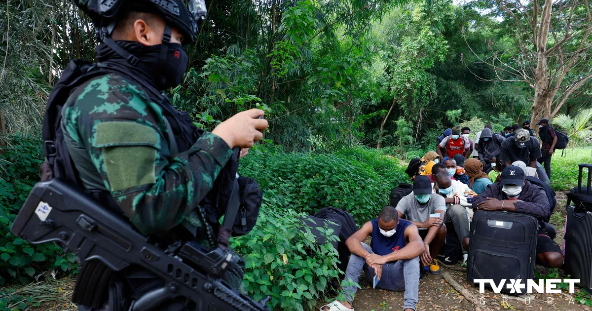 Рабство XXI века: что происходит в "деревнях" любовных интернет ...