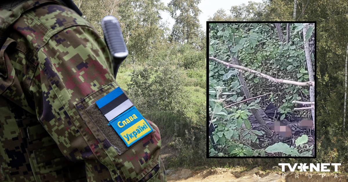 FOTO "Teritorijā ļoti smird." Igaunijas karavīri mācību laikā atrod ...