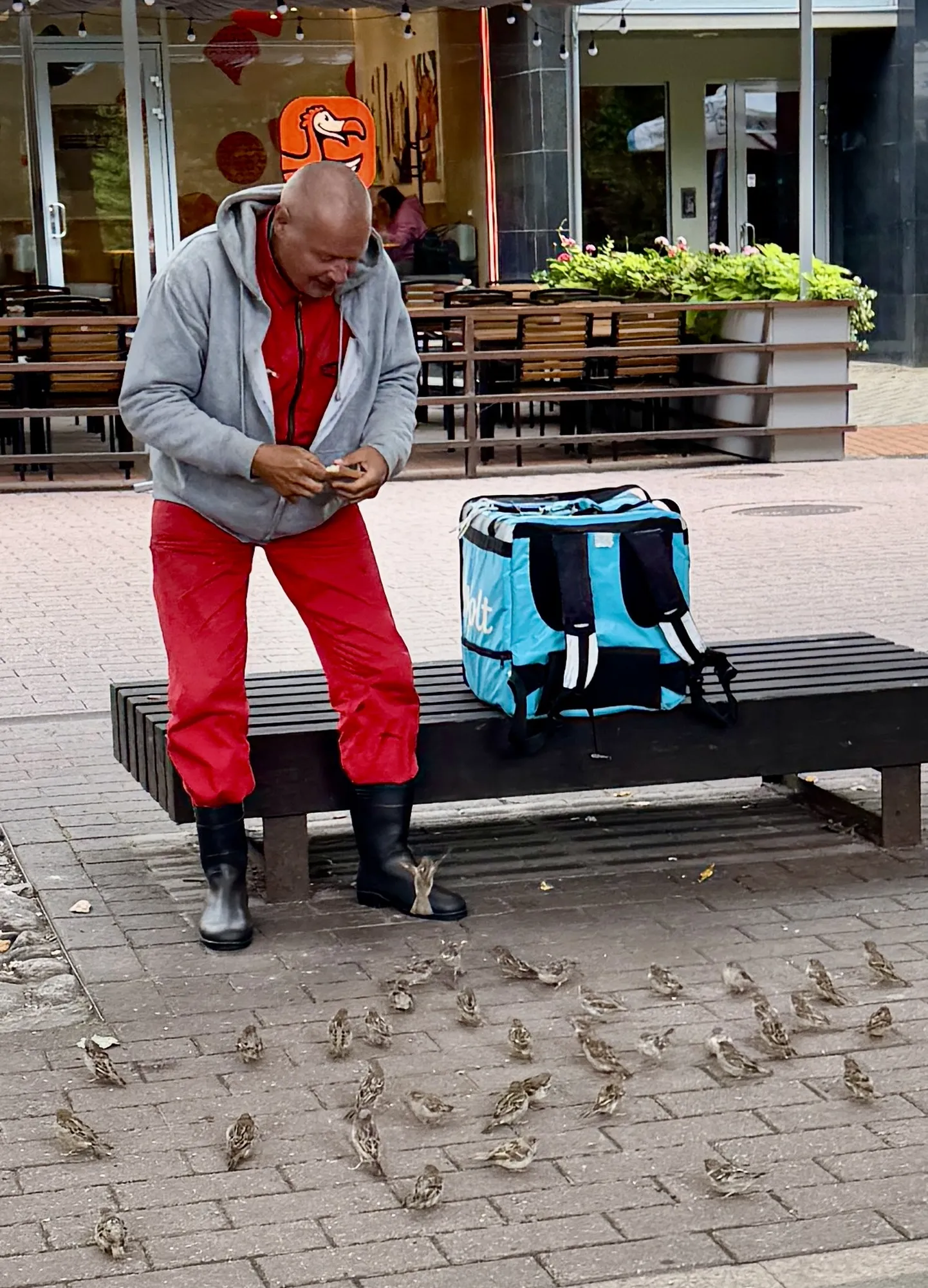 FOTO Kas on linnukesel muret, kust ta saab, mis ta sööb? Kuller toob