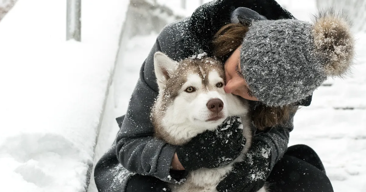 Mukid ja Pontud on ajalugu: mida tänapäeval koertele nimeks pannakse?