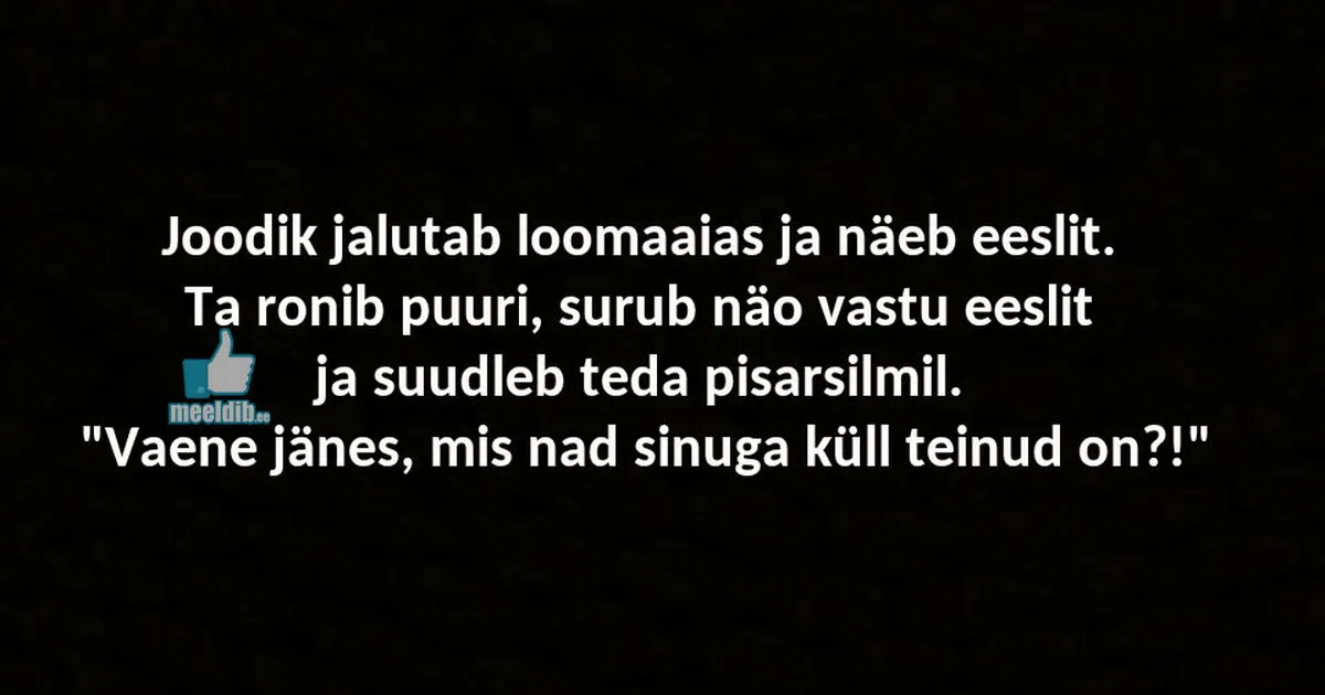 Joodik jalutab loomaaias