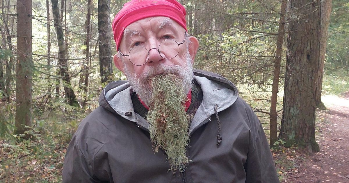 Pikk habesamblik on väge täis