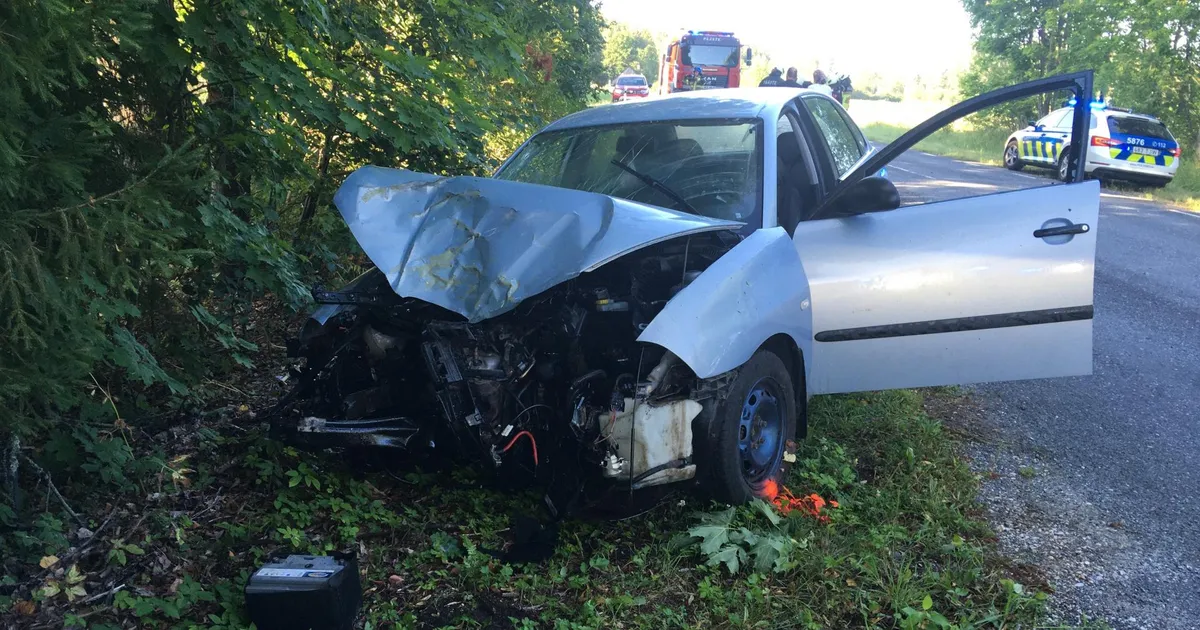 PILDID Auto üle kontrolli kaotanud naine sõitis vastu puud
