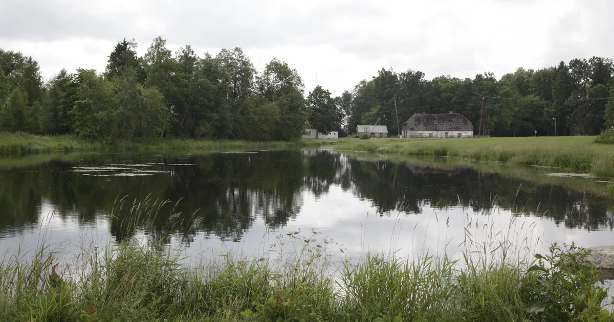 MINA ELASIN SIIN Venevere. Mardisandid