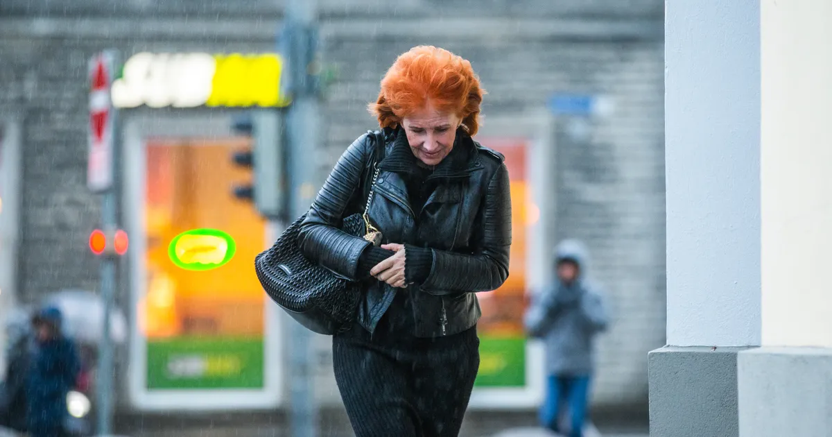 Ministeeriumi personalijuht küsis kolleegidelt kantslerit tabanud ...