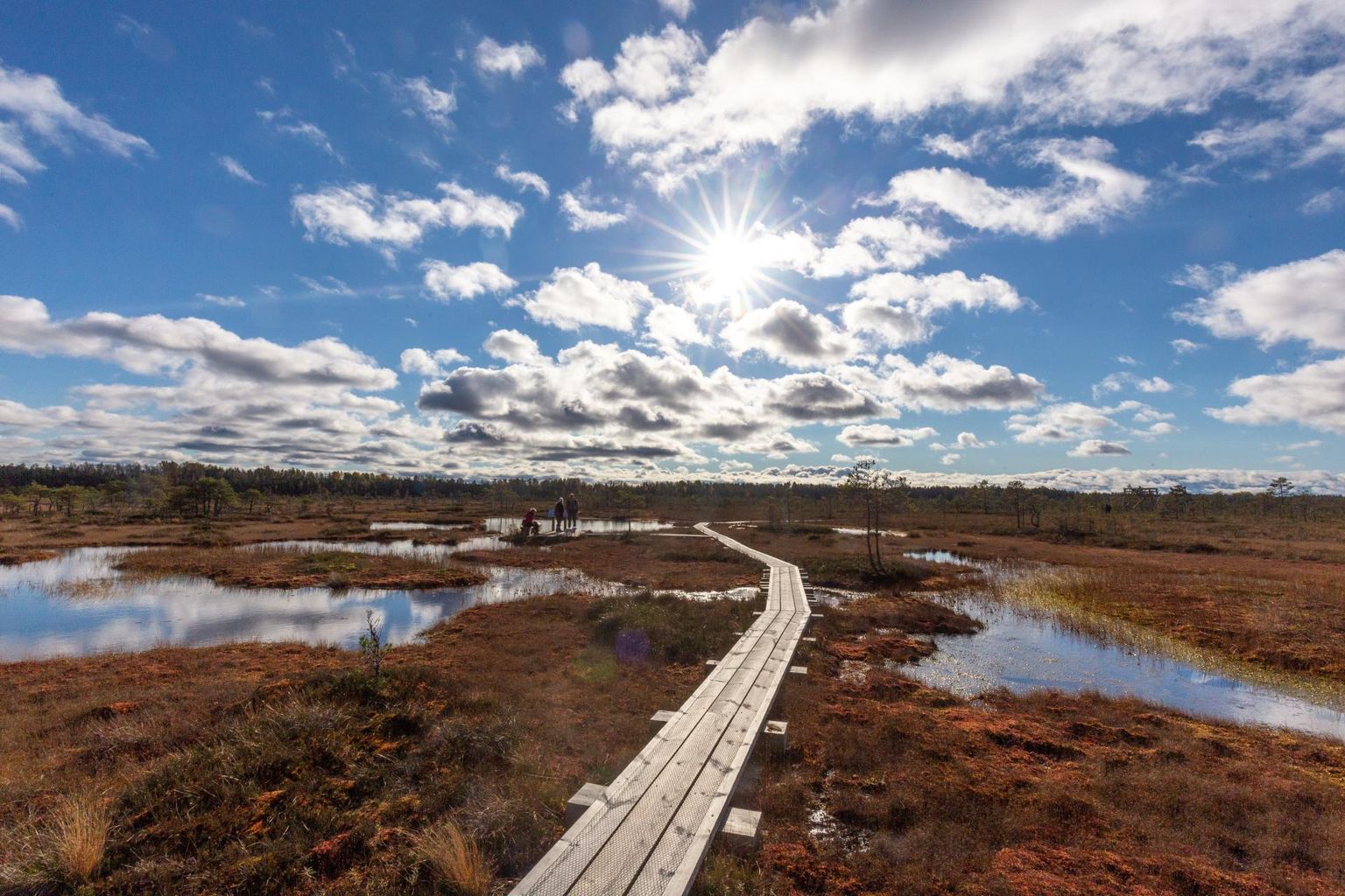 Soomaa pälvis loodussäästliku turismi kvaliteedimärgi
