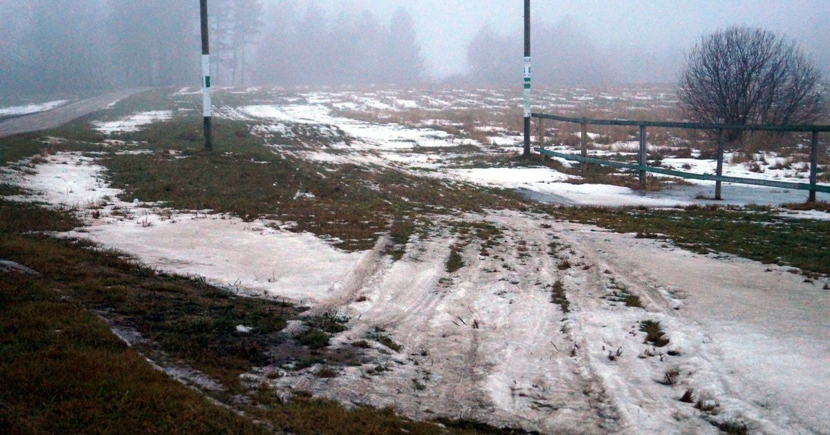 tartu neliküritus - Postimees: Värsked uudised Eestist ja välismaalt